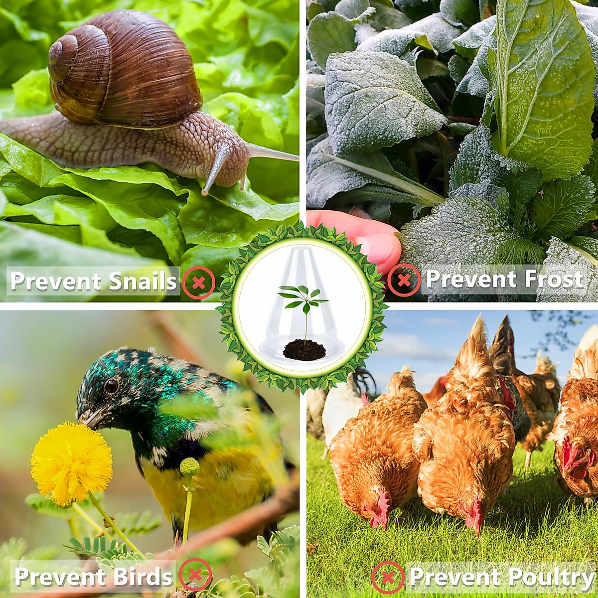 【12 Pieces】 Garden Cloches for Plants, Plant Covers Plant Protectors Transparent Bell Jar Cloches to Protect Plants from Birds, Slugs, Frost, Freeze Weather, 7.8" D x 9.4" H, Transparent