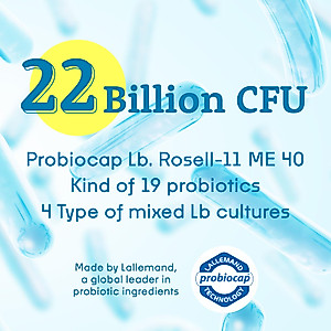 NOCK Probiotics for Dogs,Improve Kidney Function, Support Urinary Tract Health Supplement for Your Dogs Stomach, Intestine Health(220 Billion CFUs Per)