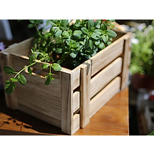 Natural Wood Crates for Storage - Set of 3: Decorative Unfinished Wooden Crates, Country Style Storage for Display, Rustic Farmhouse Shelf Décor
