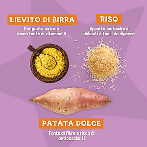 Benevo Vegan Pawtato Dog Chews (Small Knots)