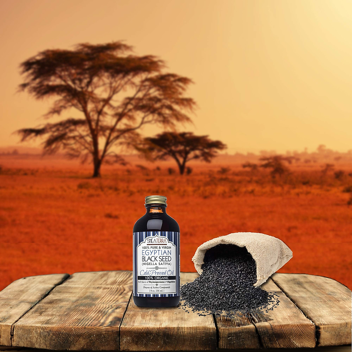 Shea Terra Egyptian Black Seed Cold Pressed Extra Virgin Oil | All Natural & Organic Oil to Boost Immune System, Improve Hair Growth & Skin Tone, Manage Dry Skin, & More - 8 oz