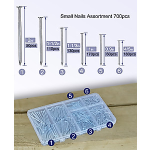 Eujqo Nails for Hanging Pictures Small Nails Picture Hanging Nails 700Pcs Finishing Nails Hardware Nails for Wall Wood Nails