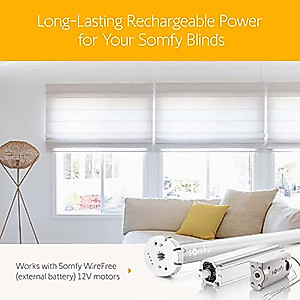 somfy Rechargeable Lithium-ion Battery Pack for External Battery Wirefree Motors - Year Round Power for RTS Motorized Shades, Curtains, and Awnings - Charge Once a Year - #9021217