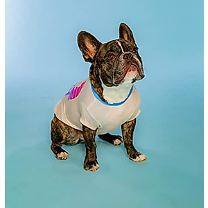 Doggy Parton All Star Show Vintage Style Shirt for Pets - M, White (22120723)