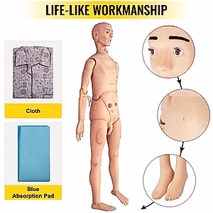 FOCCAR Patient Care Manikin Nursing Skills Training CPR Simulator 170Cm Life Size Full Body Human Anatomical Model for Medical Study