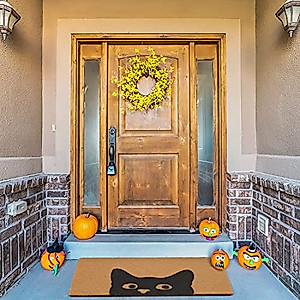 UINI Door Mat Outdoor Indoor Welcome Mats, Cute Cat Front Doormat, Non Slip Durable Entrance Rugs for Front Door, Inside Outside Entry, Porch, Resist Dirt, 17" x 30", Easy to Clean
