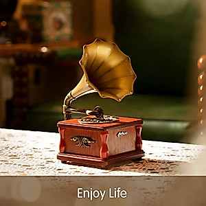 Eikosch Portable Bluetooth Speakers, Mini Phonograph, USB Music Player, Home and Entertainment Decorations, Holiday, Party and Birthday Gifts. …