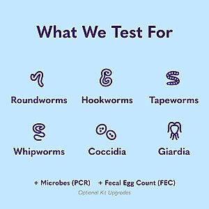 MySimplePetLab Cat Stool Test Kit | Fast and Accurate Cat Worms and Giardia Test | Mail-in Stool Sample Kit for Early Detection of Cat Worms and Giardia