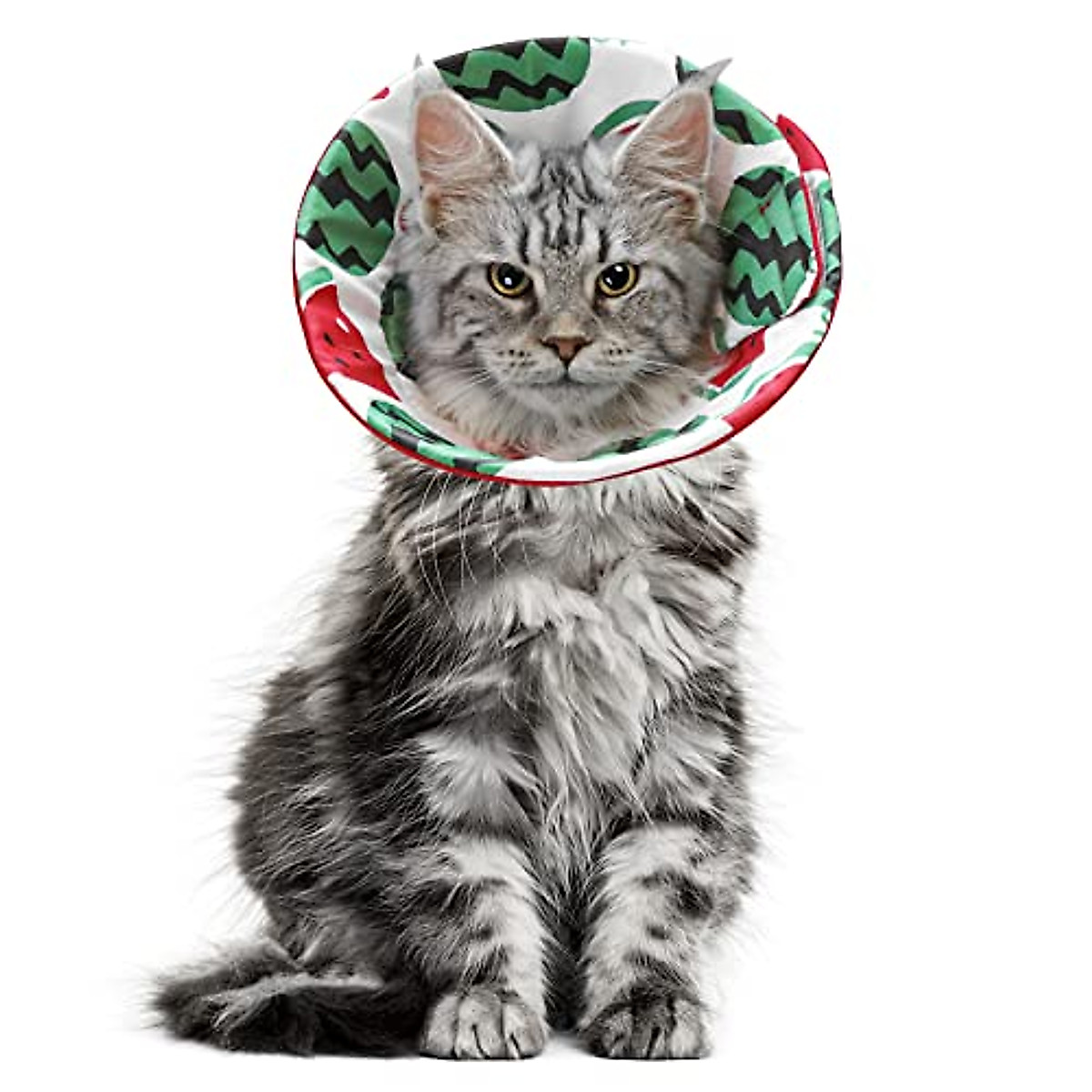 ComSaf Cat Recovery Collar, Lightweight Pet Elizabeth Collar, Soft Adjustable Cat Cone Collar After Surgery for Cat Kitten Prevent from Licking Wounds, Loops-Protective Healing, Not Block Vision
