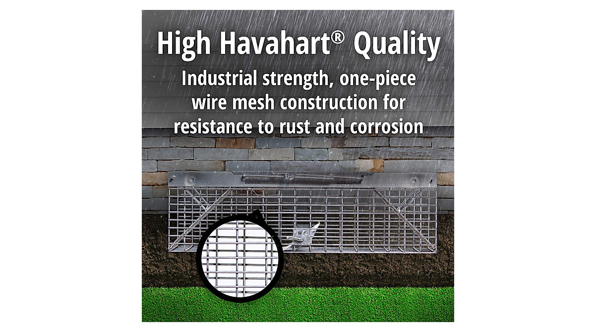 Havahart 1025 Small 2-Door Humane Animal Trap - Safe & Effective