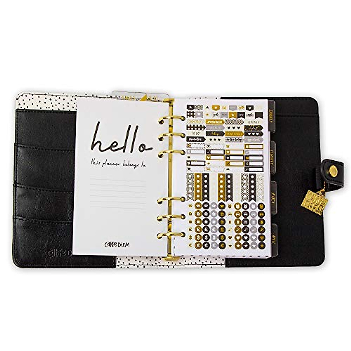 Pukka Pad, Carpe Diem Personal Planner with Weekly, Monthly Undated Inserts, 8 X 7.5 X 1.4 Inches, Buffalo Check