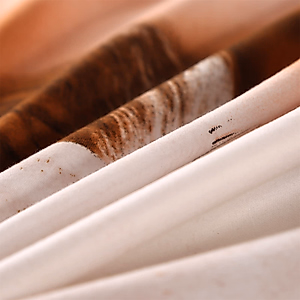 Wowelife Horse Bedding Sets for Boys and Girls Queen, Premium Horse Duvet Cover Set, Comfortable and Soft for Kids and Adults(Queen-4 Pieces)