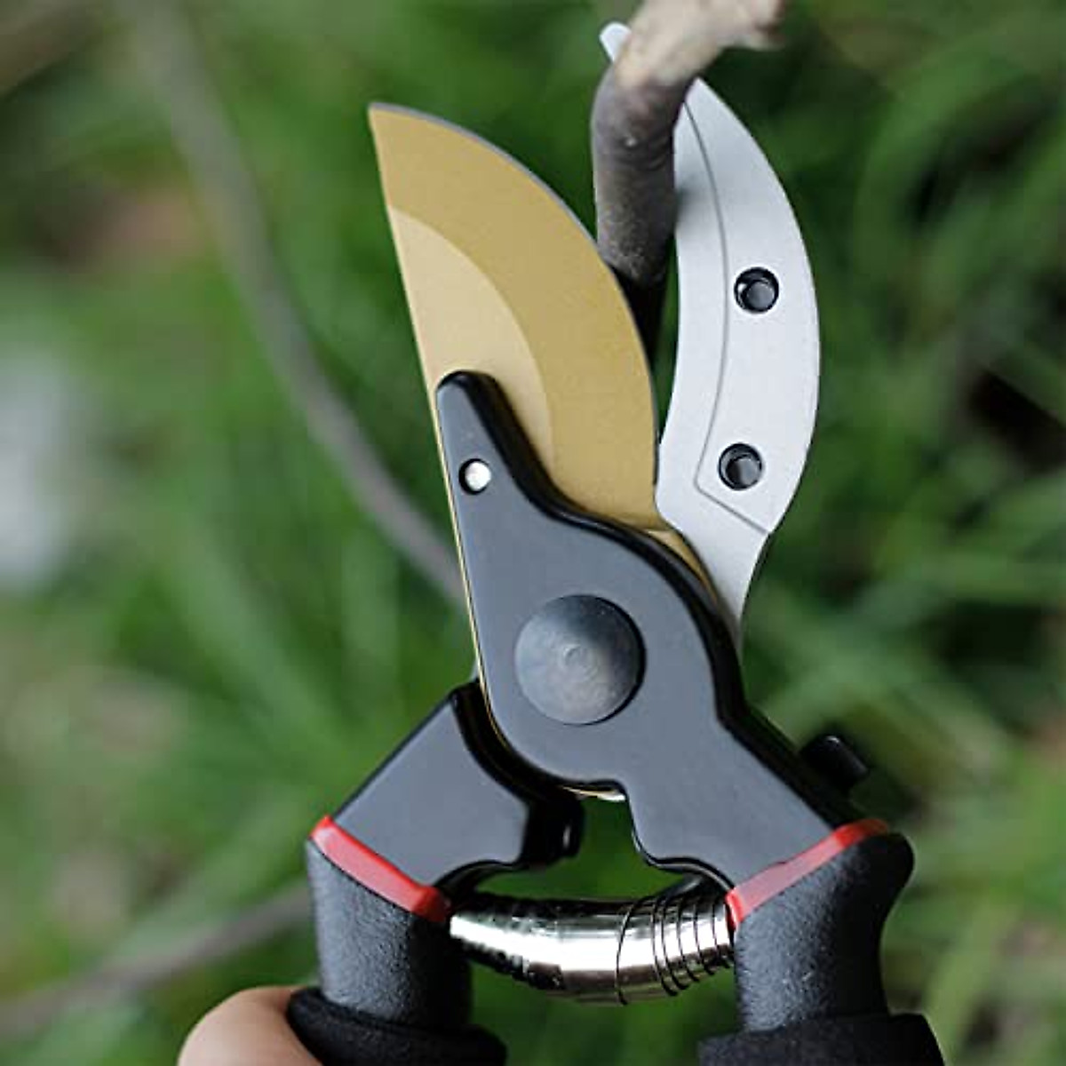 TOOLTENG Garden Bypass Pruning Shears, Heavy-Duty Garden Clippers, Tree Ttrimmers and Rose Pruning Shears, Multipurpose Garden Shears for Gardening, Arboriculture & Plant Nurseries (Black)