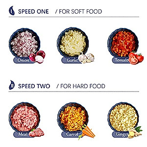 Electric Food Chopper, 8-Cup Food Processor by Homeleader, 2L Glass Bowl Grinder for Meat, Vegetables, Fruits and Nuts, Stainless Steel Motor Unit and 4 Sharp Blades, 300W