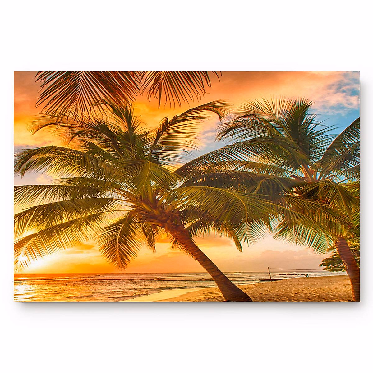 Tropical Beach Palm Trees Sunrise Yellow Green Front Door Mat Welcome Mats Microfiber Floor Mat Rubber Backing Non Slip Shoes Scraper Washable Indoor Outdoor Doormat for Entryway 20X32 Inch