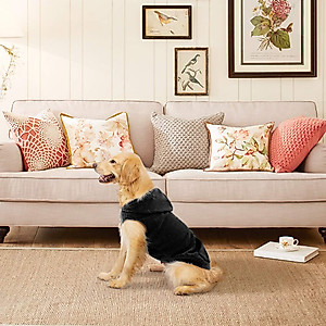 EXPAWLORER Dog Hoodie with Pocket, Polar Fleece Dog Sweatshirt Fall Cold Winter Sleeveless Sweater with Hood, Warm Cozy Pet Clothes for Small to Large Dogs Boys and Girls (Black, XXL)