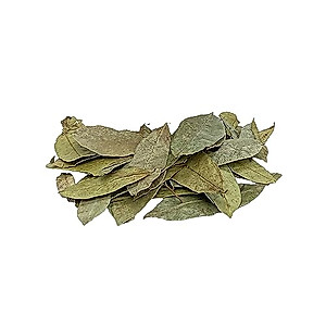 Yerbero - Whole Dried Graviola Soursop Leaves (4 oz - 330+ Leaves Per Bag) Hoja De Guanabana, 100% All Natural Delicious Fresh Tea | From Mexico | Premium Wildcrafted Quality.
