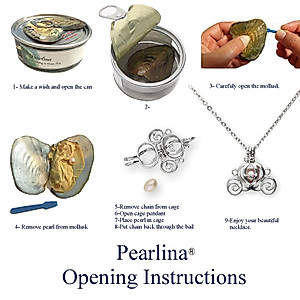 Pearlina Princess carriage Cultured Pearl Oyster Necklace Set Silver-tone Cage w/Stainless Steel Chain,18