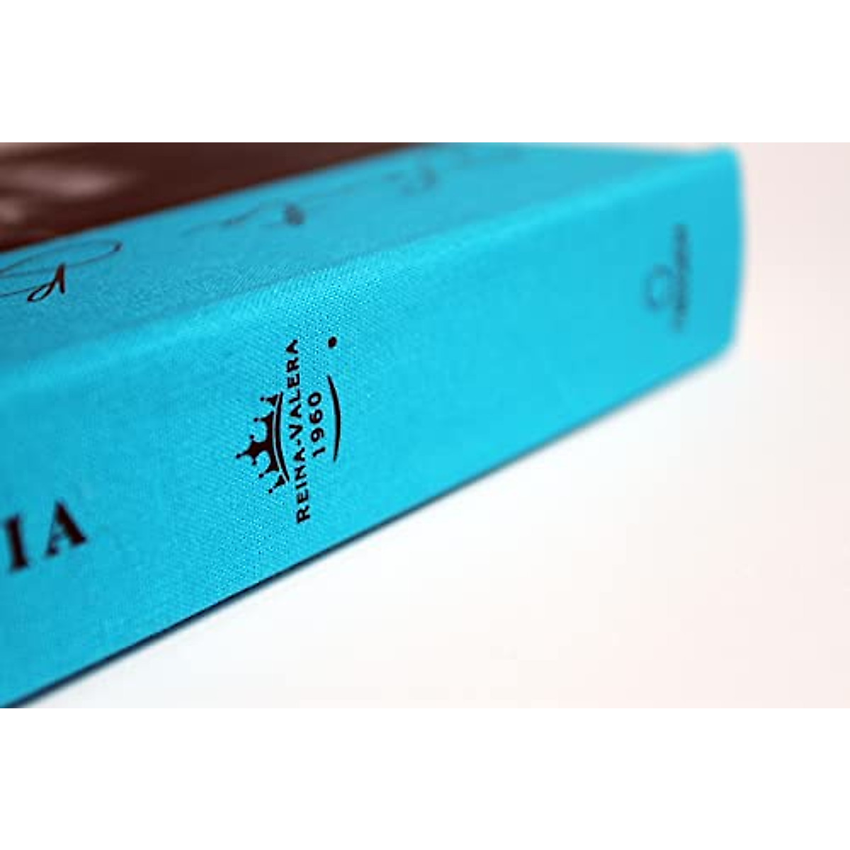 Biblia RVR 1960 letra grande, tamaño manual, tapa dura de tela León aguamarina / Spanish Bible RVR 1960 Handy Size Large Print Hardcover Cloth Lion Aquamari