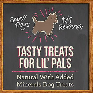 Merrick Lil’ Plates Grain Free Small Dog Treats, Natural Training Treats For Small Dogs, Small Salmon Recipe - 5 oz. Pouch