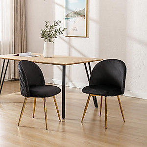 ZH4YOU Swivel Dining Chairs Set of 4, Modern Kitchen Dining Room Chairs with Gold Legs, Black Velvet Accent Side Chair for Living Room/Bedroom/Office