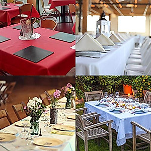 ProTensils 12 Large Tablecloth Clips, Picnic Table Clips, Outdoor Table Cover Clamps for 2.5" Thick Tables, Stainless Steel Holders | Durable, Windproof, Rust-Free