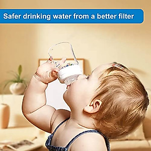 Water Filter Replacement for Berkey- Black Filters and Fluoride Filters Combo Pack Compatible with Berkey Water Filters Replacement- Pack of 4
