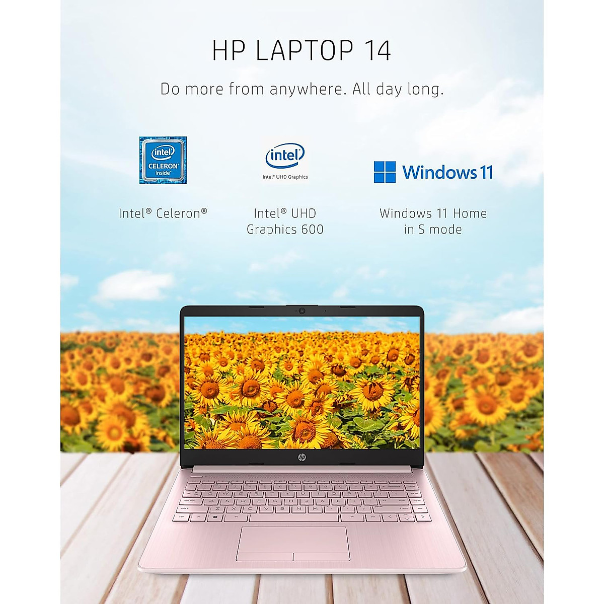 HP Premium 14-inch HD Thin and Light Laptop, Intel Quad-Core Processor, Long Battery Life, Webcam, Bluetooth, Wi-Fi, Portable SSD, Pink, Win 11 + 1 Year Microsoft 365 (16GB RAM | 320GB Storage)