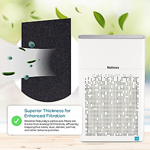 Breathe Naturally - Hapf600 HEPA Carbon Filter Replacement for Holmes Air Purifiers - High Efficiency Carbon Air Cleaner Filters - Compatible with Holmes HAPF600 Series - (2 Pack Carbon Filter C)