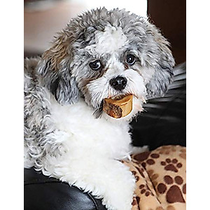 K9 Connoisseur Single Ingredient Dog Bones Made in USA for Small Breed Dogs Natural Long Lasting Marrow Filled Bone Slice Chew Treat Best for Dogs Or Puppies Up to 15 Pounds 3 Pack of 6 Slices