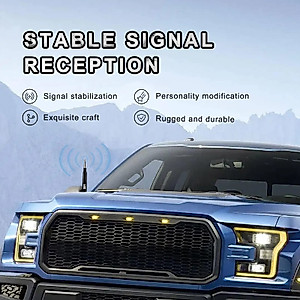 Miytsya Car Truck Bullet Antenna American Flag for GM Chevy Silverado 1500 2500 3500 HD Avalanche GMC Sierra 1500 2500 3500 Denali Heavy Duty Pickup Trucks Accessories (Silver)