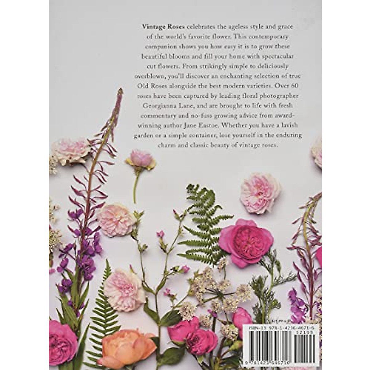 Vintage Roses: Beautiful Varieties for Home and Garden