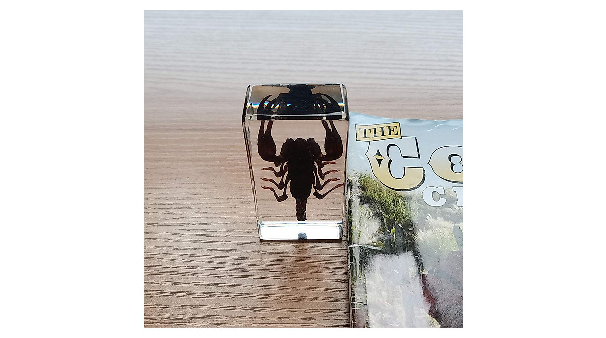 Giant Forest Scorpion Specimen: Resin Art for Science & Gifts