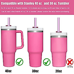 ALINK 13 IN Glitter Straws + Pink Straws for Stanley 40 OZ Tumbler