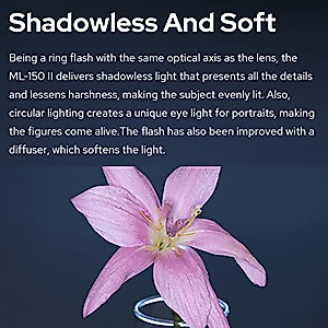 Godox ML-150II ML150II Macro LED Ring Flash Speedlite GN12 0.1-2s Recycle Time 5800K±200K for Sony Canon Nikon Fuji Olympus Panasonic DSLR Cameras for Video Production, Animal and Plant Photography