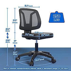 TTD TIANTIANDA Armless Swivel Mesh Computer Office Desk Chair Height Adjustable with Lumber Support for Small Spaces, Black