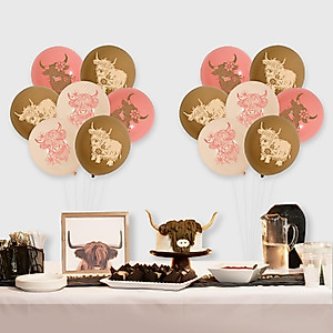 JOYMEMO 45 Pieces 12 Inches Highland Cow Party Latex Balloons Boho - Pink Highland Cow Baby Shower Decorations, Highland Cattle Birthday Supplies for Pregnancy Celebration Newborn Party