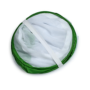 5 Feet Extra Large Monarch Butterfly Habitat, Giant Collapsible Insect Mesh Cage Terrarium Pop-up (White + Green, 35 x 35 x 59 Inches)