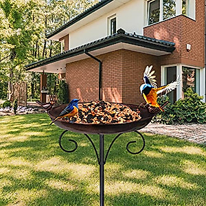 DREAMSOUL Outdoor Garden Bird Bath Metal Bird Baths Cast Iron Birdbath with Metal Stake Tall Bird Bath for Yard Garden Decor（Dia - 10inch）