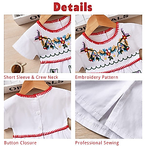 Aalizzwell Infant Baby Girl Embroidered Dress Ethnic Wear Short Sleeve Sundress White 0-6 Months