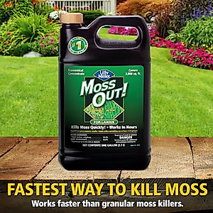 Lilly Miller Moss Out For Lawns Concentrate 1gal - 5601110