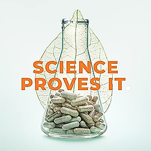 LifeSeasons - Blood Nourish-R - Iron Deficiency Supplement - Supports People Dealing with Fatigue, Paleness and Dizziness - No Constipation - Boost Blood Building - Iron, Vitamin B-12 (60 Capsules)