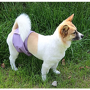 JoyDaog Reusable Belly Bands for Dogs,5 Pack Premium Washable Dog Diapers Male Puppy Nappies Wrap,M