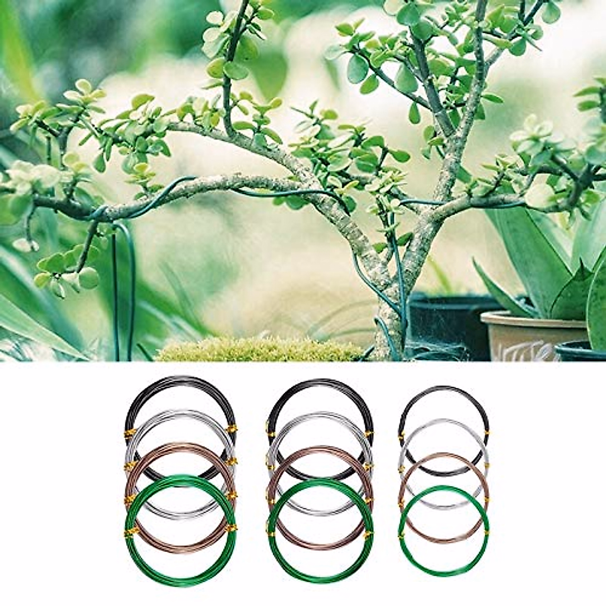 Pumbaa 12 Rolls Aluminium Bonsai Training Wires- 196 Feet 4 Color Tree Training Wire Set with 3 Size (1.0mm, 1.5mm, 2mm) for Bonsai TRE - Multi