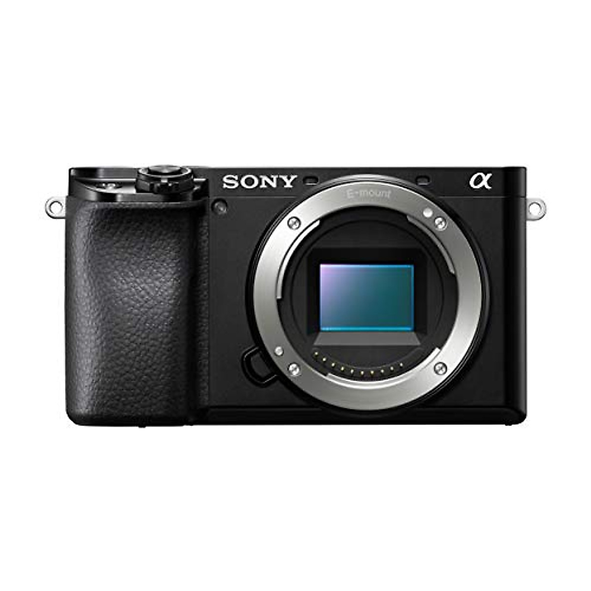 Sony Alpha A6100 Mirrorless Camera