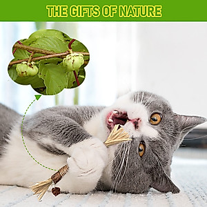 BAWAN Catnip Toys‖ Silvervine for Cats: Cute Cat & Kitten Toys for Indoor Cats Interactive‖ Cat & Kitten Teething Chew Toys for Aggressive Chewers‖ Silvervine Sticks Cat Dental Toy (5PCS)