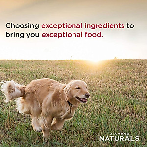 Diamond Naturals Adult Dry Dog Food Lamb Meal and Rice Formula Made with Lamb Protein, Probiotics and Essential Nutrients to Support Balanced and Overall Health 20LB