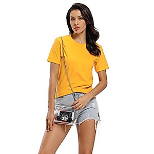 Clear Purse Bag, Shoulder Handbag pouch Stadium/Concert Venues Approved Clear Bag for Women (SV)