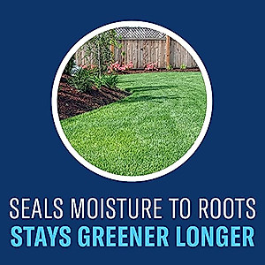 BioAdvanced Lawn Root Moisturizer, Ready-to-Spray, 32 oz