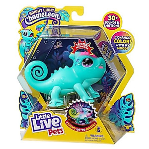 Little Live Pets - Sunny The Bright Light Chameleon Interactive Color Change Light Up Toy, 30+ Sounds & Emotions, So Many Moods, Repeats Back, Beat Detection (Batteries Included, for Kids Ages 5+)